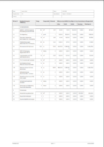 EFB Formblatt im Programm: Einfache Anleitung